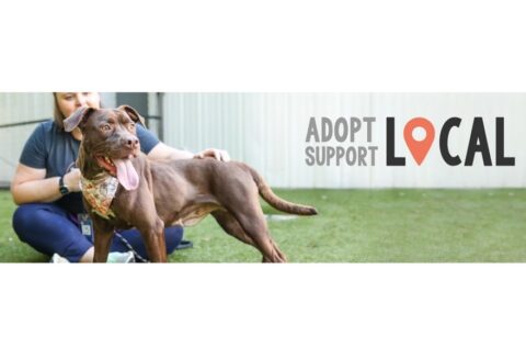 Help Save Raleigh’s Animals | Livable Raleigh